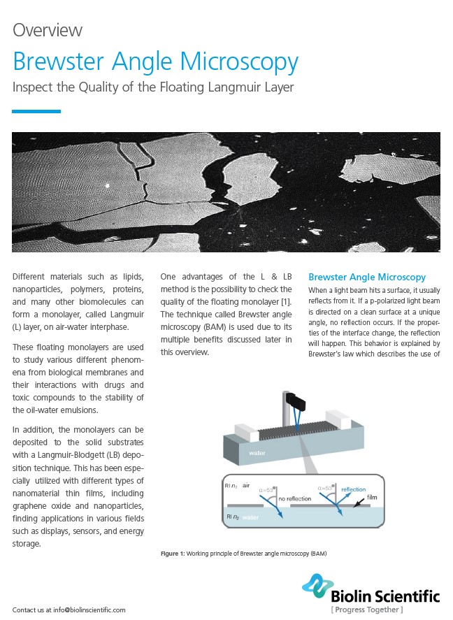 Brewster angle microscopy