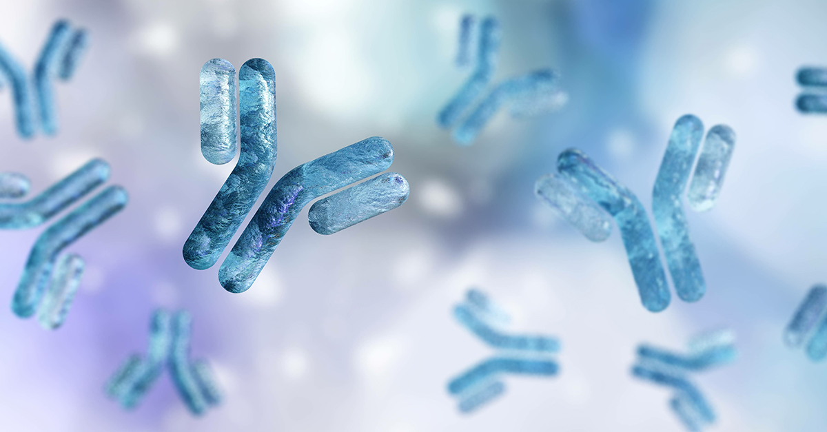 Webinar on Adsorption and aggregation of monoclonal antibodies